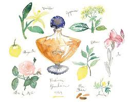 The Power of Scent and How to Use it in Your Home